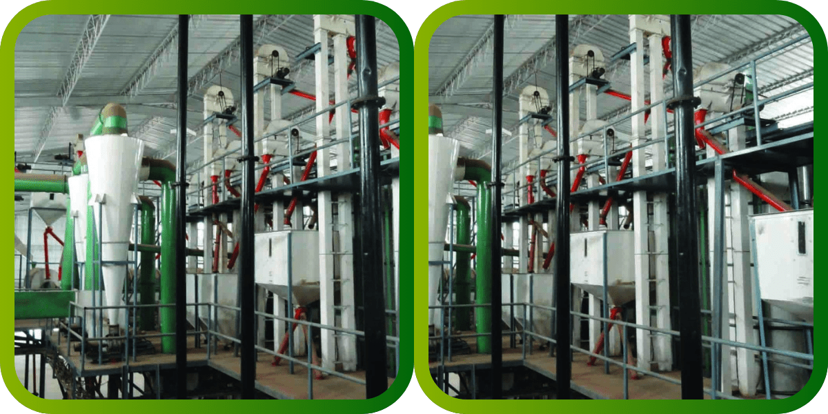 #1 Best Vegetable Seed Processing Plant in India