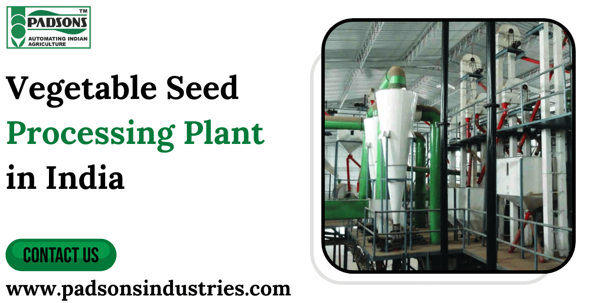 #1 Best Vegetable Seed Processing Plant in India